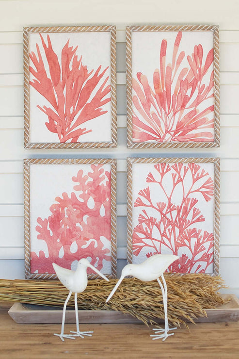 Coral Prints with Wooden Frames - Set of 4 – Willow Tree and Company