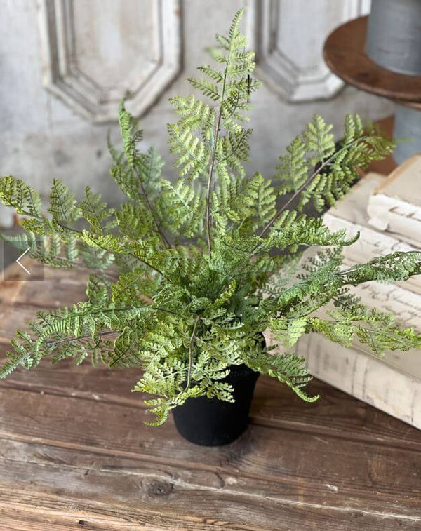 The Foundation Fern- Maintenance Free- Stylish Decor - Chic Potted Fern